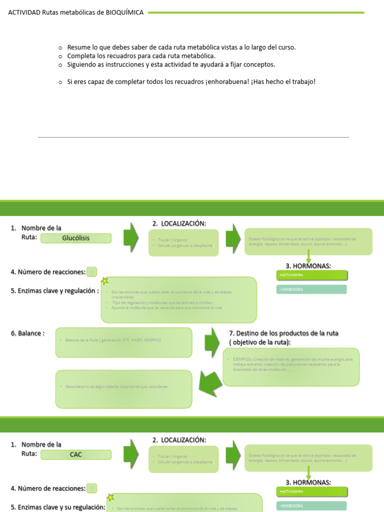 Esquema Rutas rutas | PDF