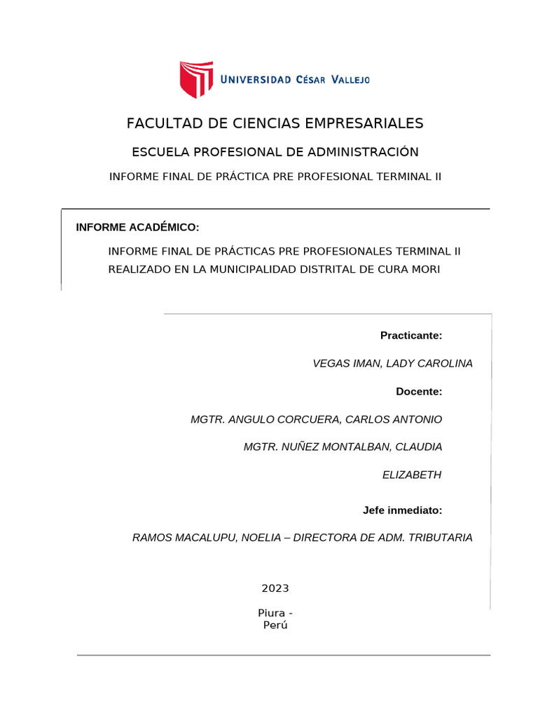 Informe - Practicas Preprofesionales | PDF | Marketing | Negocios