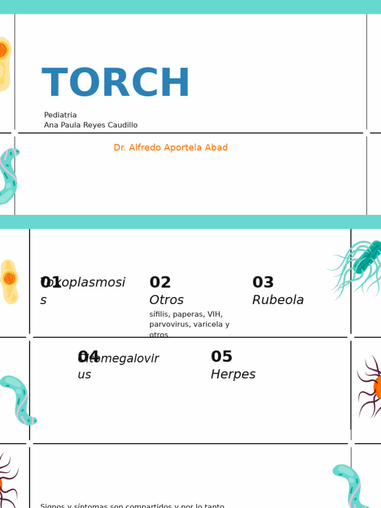 TORCH presentación | PDF