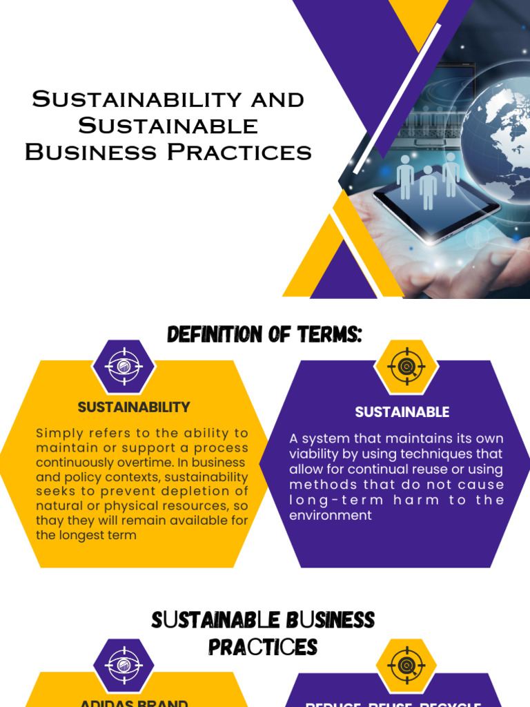 Sustainability and Sustainable Business Practices | PDF