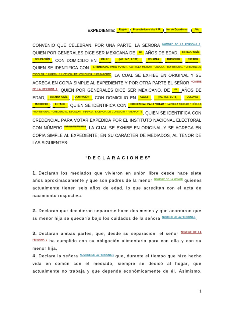 Machote - Guarda y Custodia Unión Libre | PDF