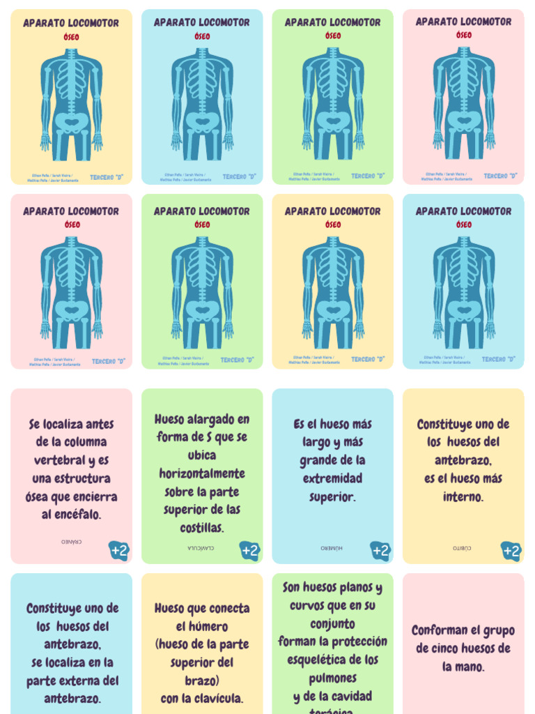 Ficha huesos | PDF
