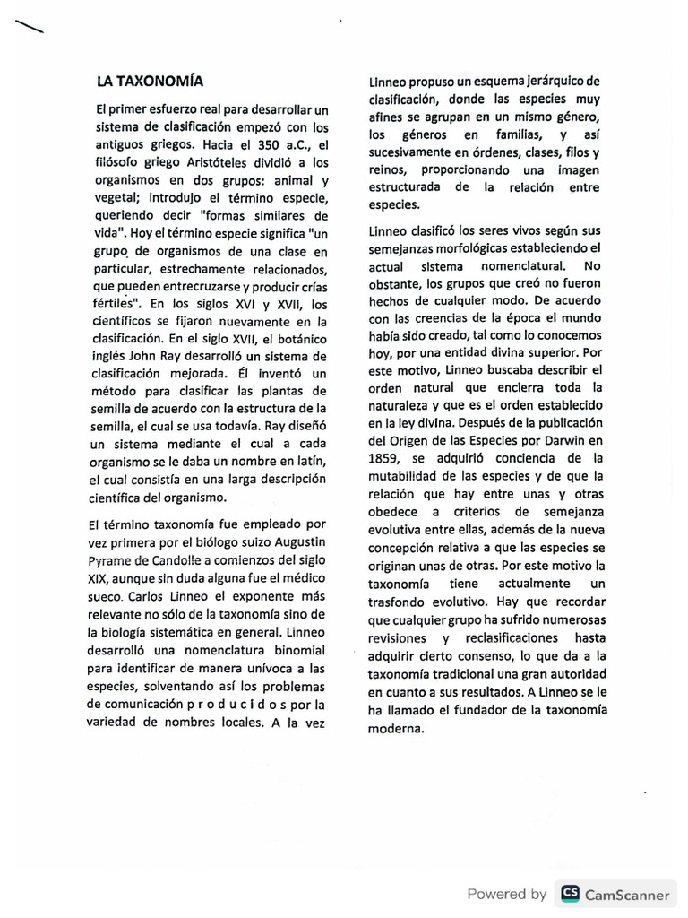 Actividad de La Taxonomía | PDF