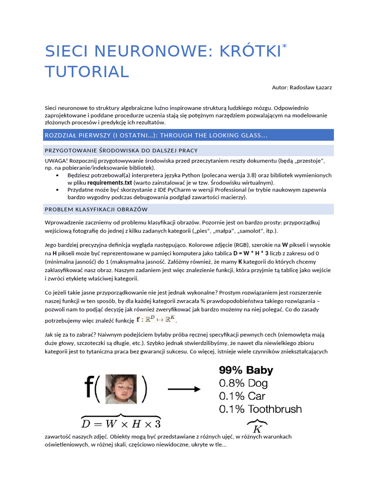 Sieci Neuronowe (Wersja 2021) | PDF