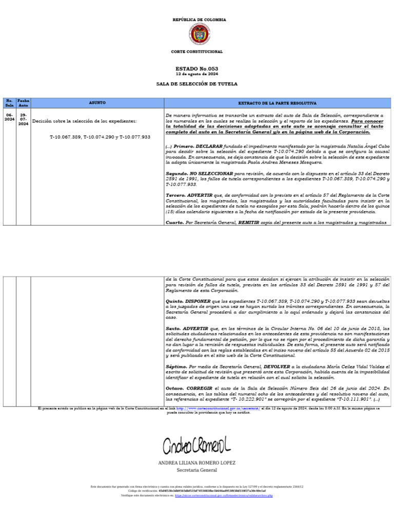 Estado 053 Auto 29 de Julio de 2024 | PDF