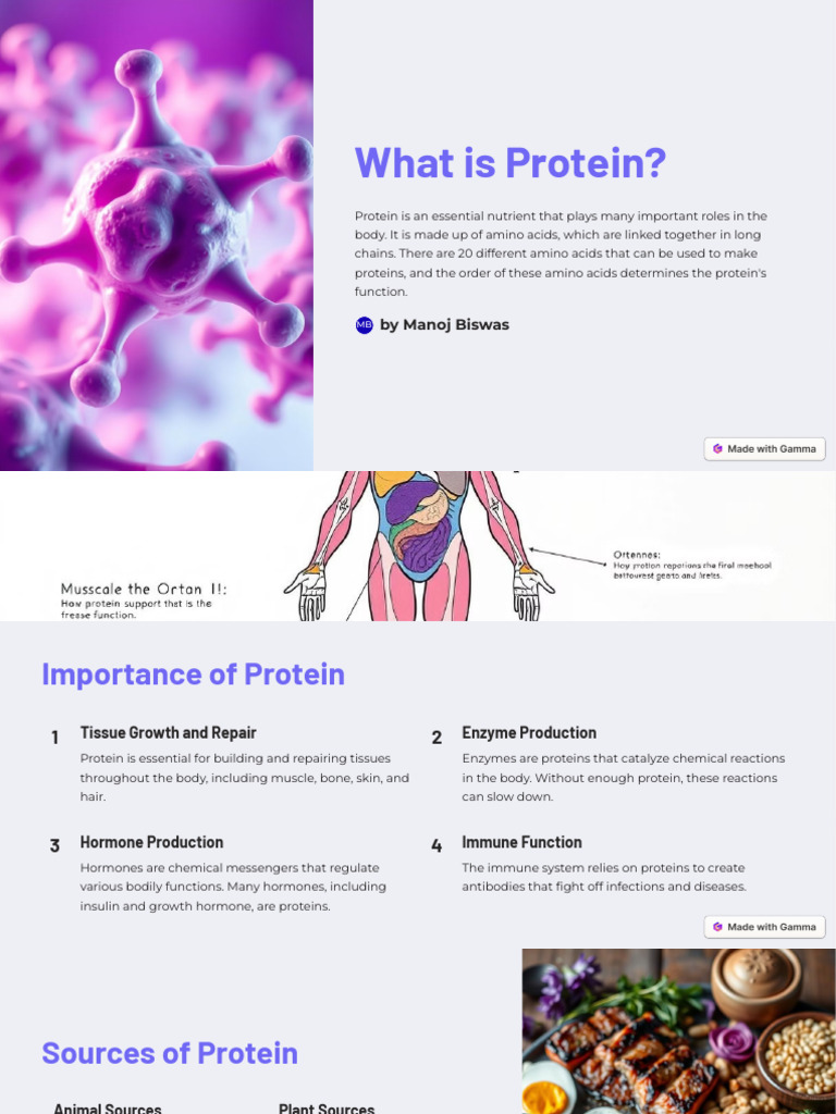 What-is-Protein | PDF