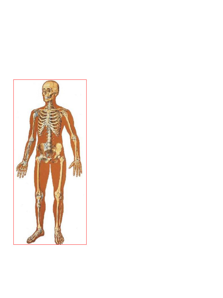 Higienes 6-2das Unidad | PDF