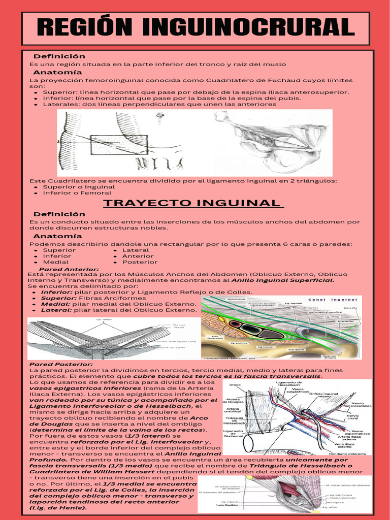 Trayecto | PDF