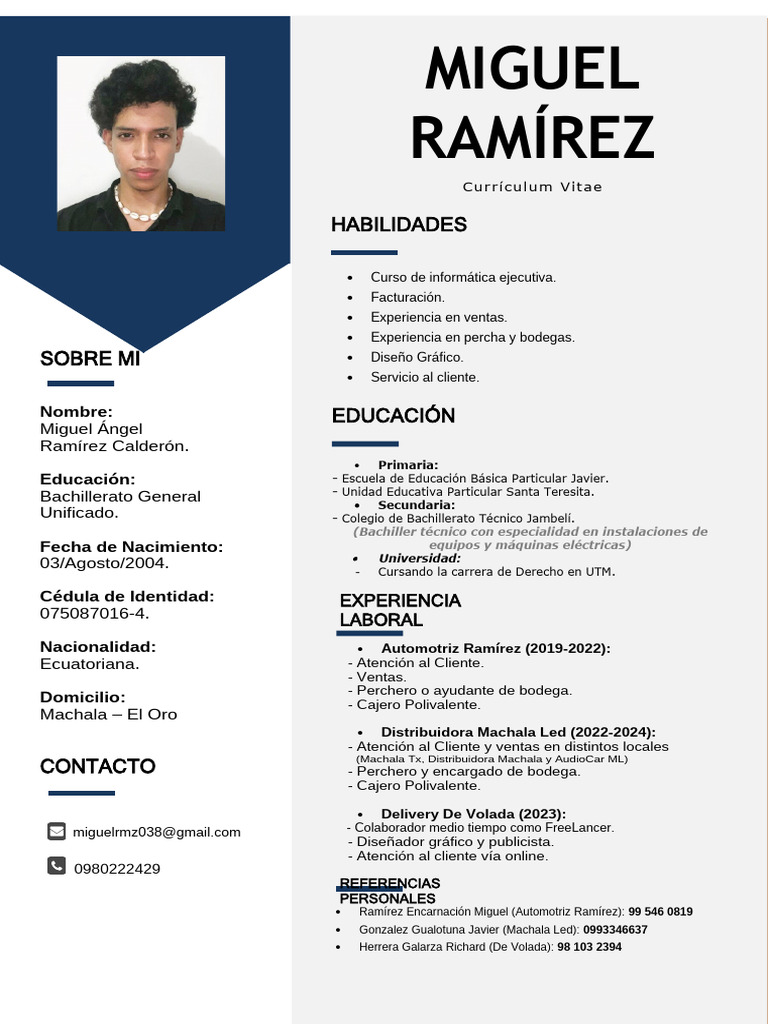 Curriculum Miguel Ramirez | PDF