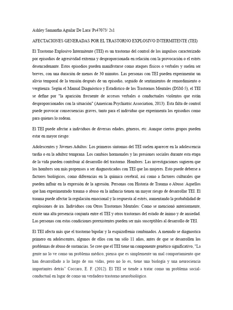 Argumentación Teórica TEI | PDF