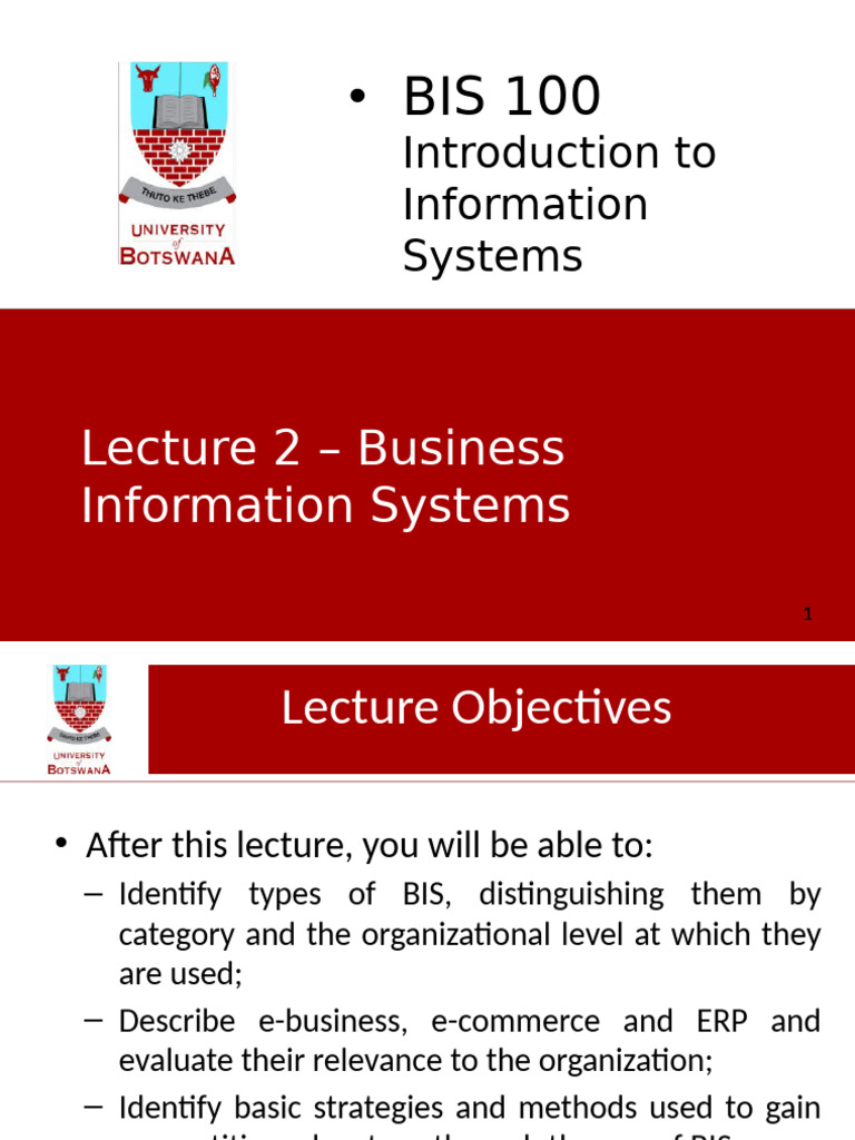 BIS100 Lecture 2 - Business Information Systems | PDF