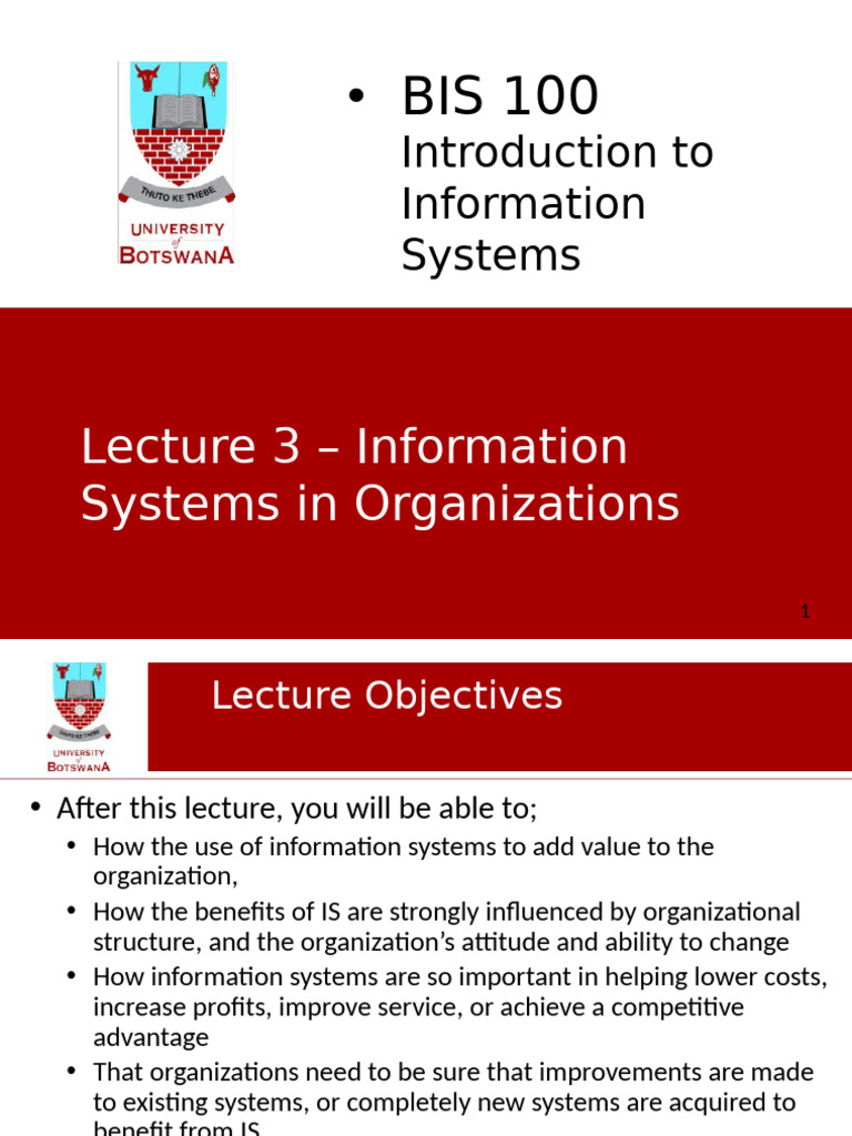 BIS100 Lecture 3 - Information Systems in Organisations | PDF