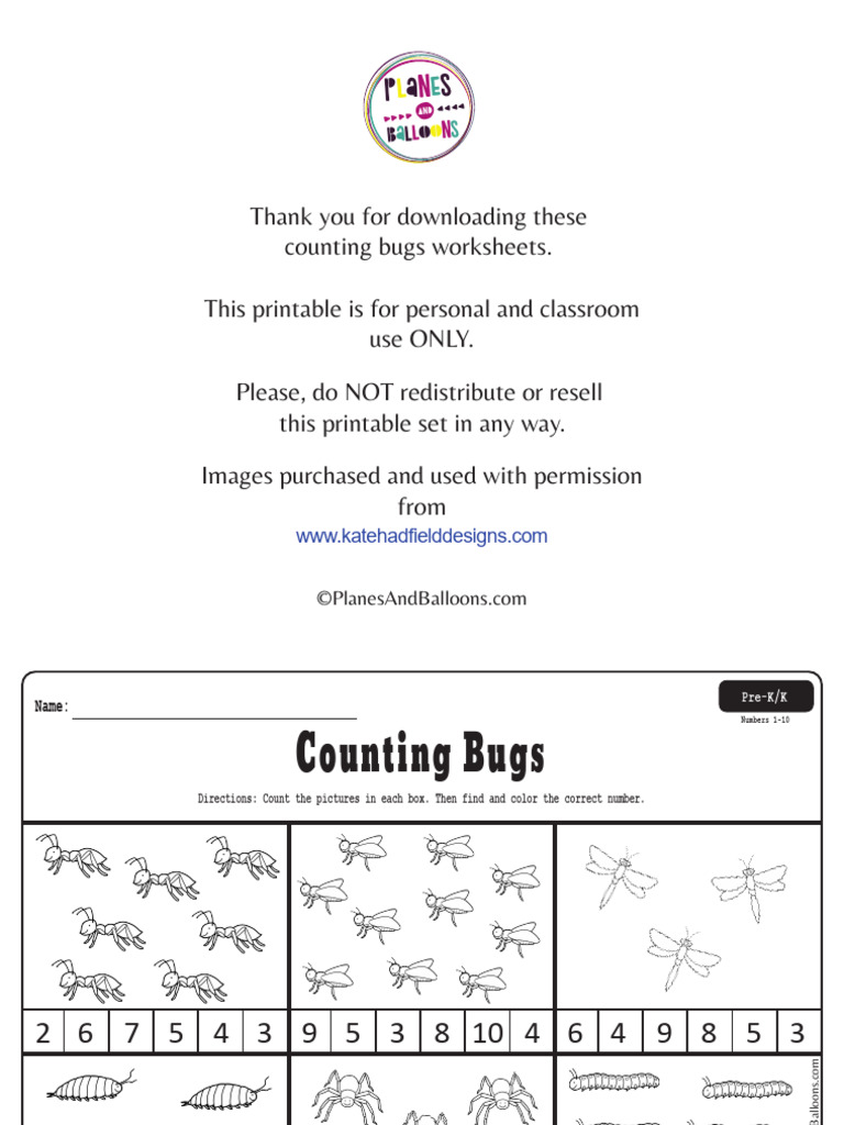 Counting-bugs-1-20 | PDF