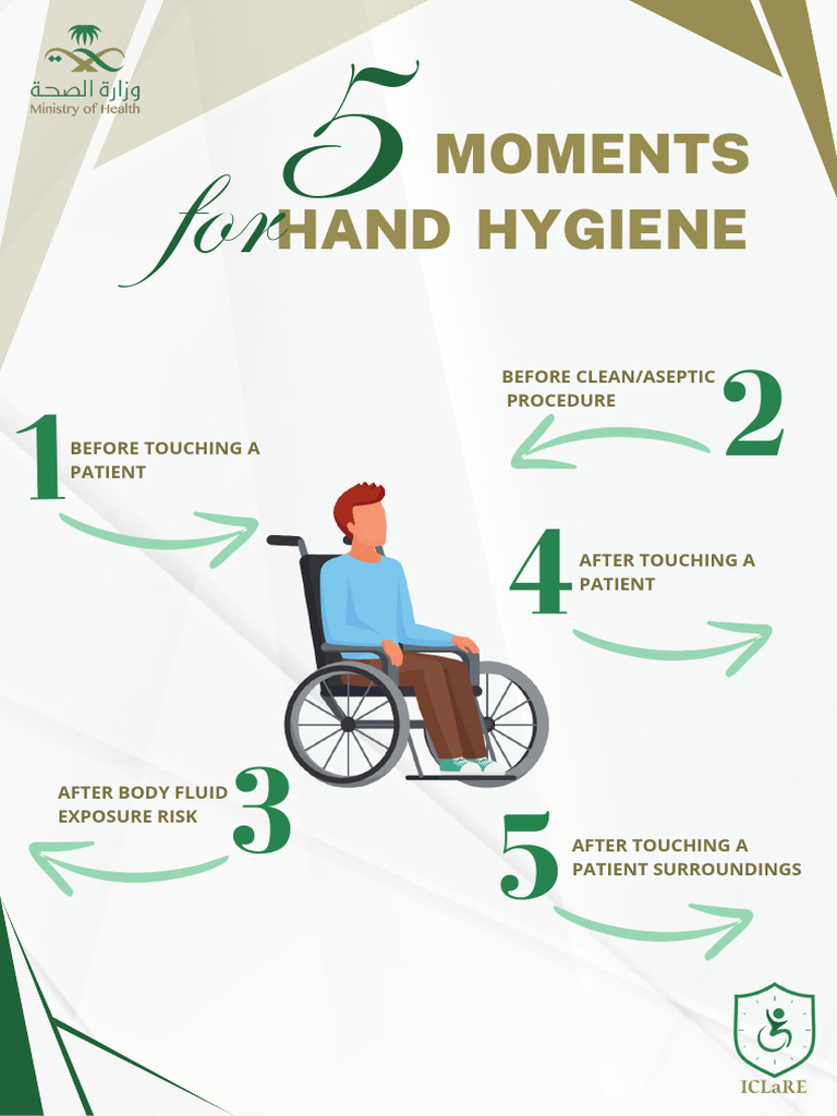 5 Moments For Hand Hygiene ICLaRE Project 2 | PDF