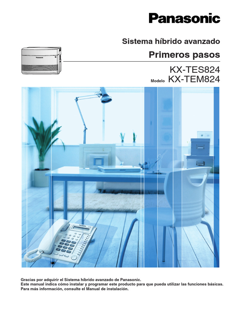 Primeros Pasos | PDF