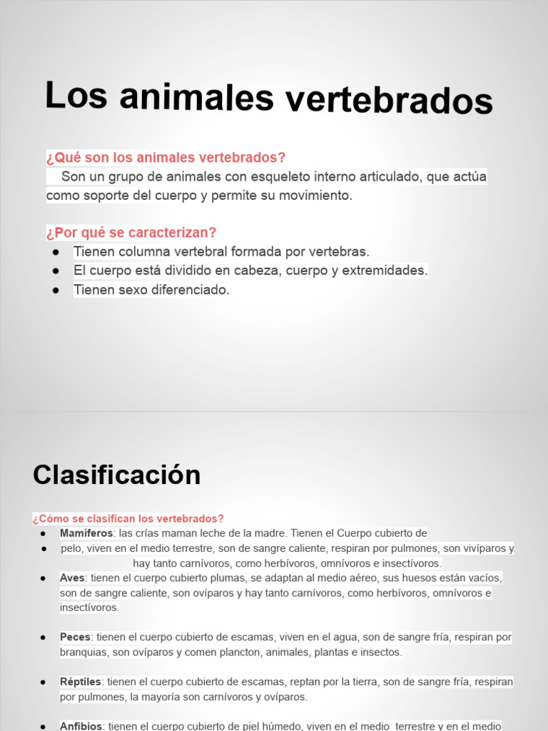 Los Animales Vertebrados | PDF