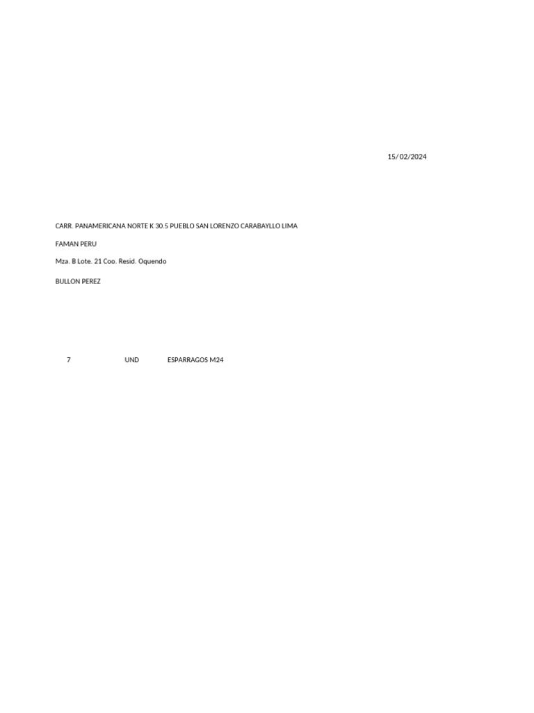 Formato Guia Faman Peru | PDF
