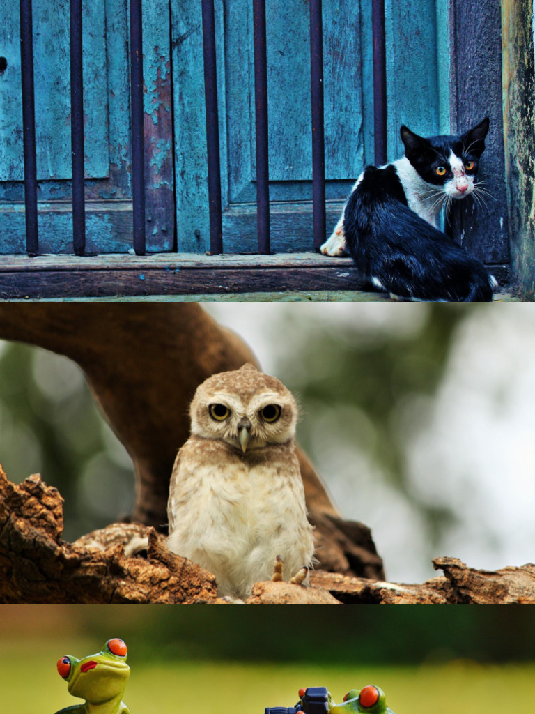 70 Picture Prompts For Creative Writing | PDF