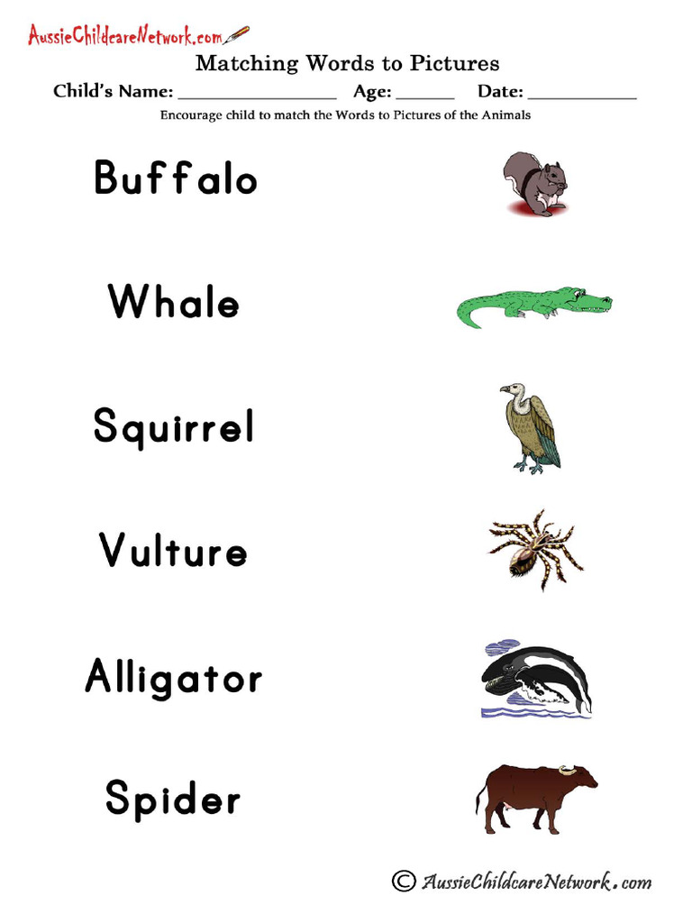 Animals Words To Pictures | PDF