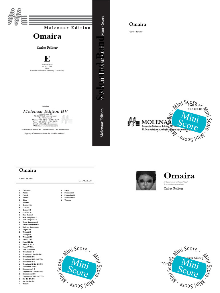 Omaira Carlos Pellicer | PDF