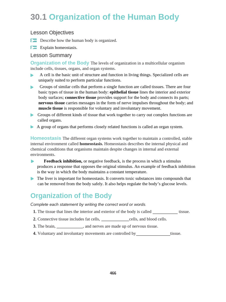WORKSHEET...L{30.1}... ORGANIZATION OF HUMAN BODY | PDF
