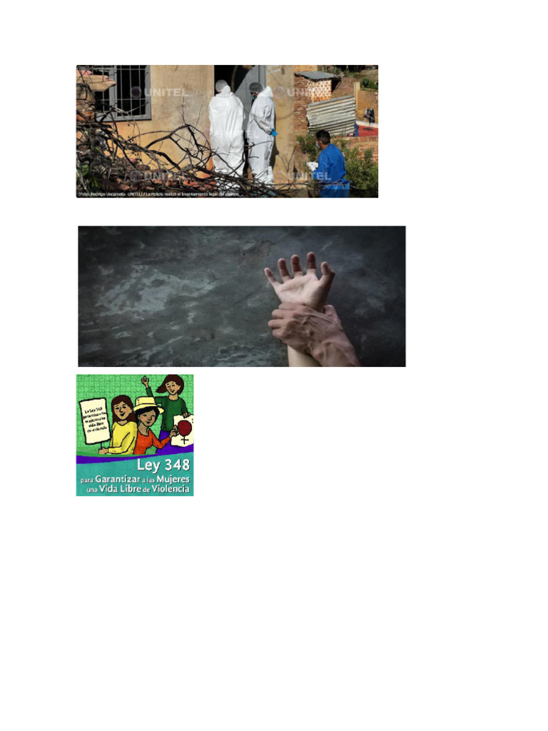 Dibujos Sobre La Ley 348 | PDF