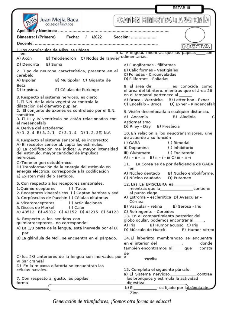 Anat - Estar Iii | PDF