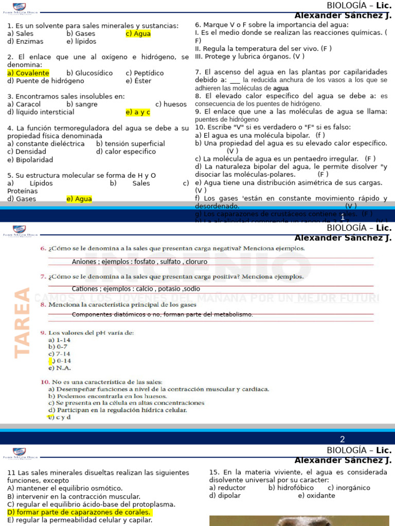 Bio Tema 03 Biomoléculas Inorgánicas | PDF
