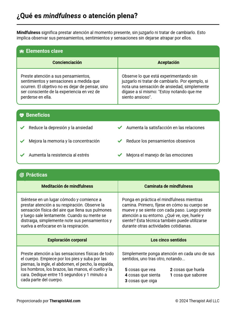 What is Mindfulness Español | PDF