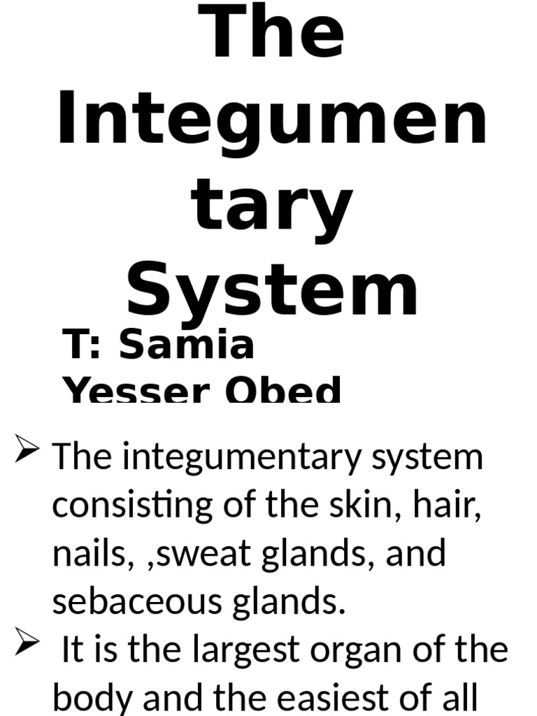 The Integumentary System | PDF
