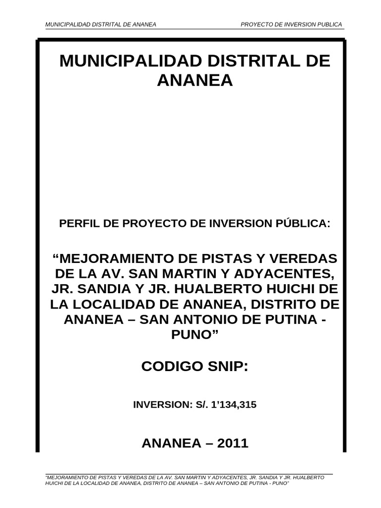 PROYECTO_SNIP_ANANEA[1] | PDF