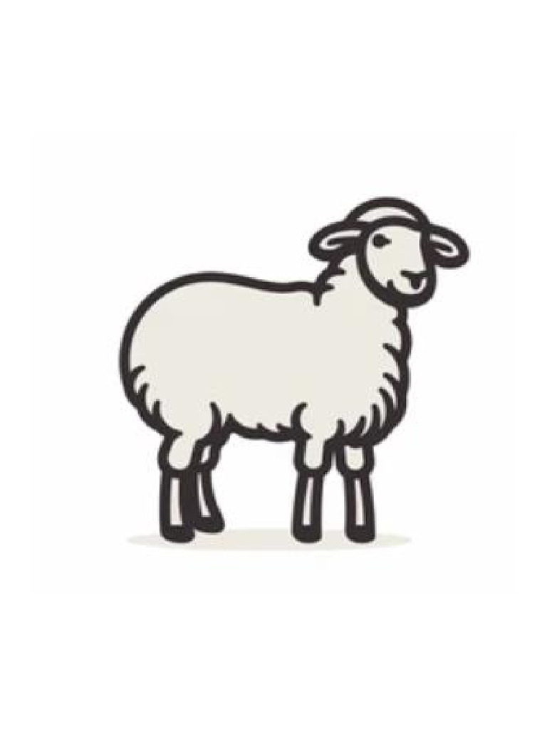 Oveja | PDF