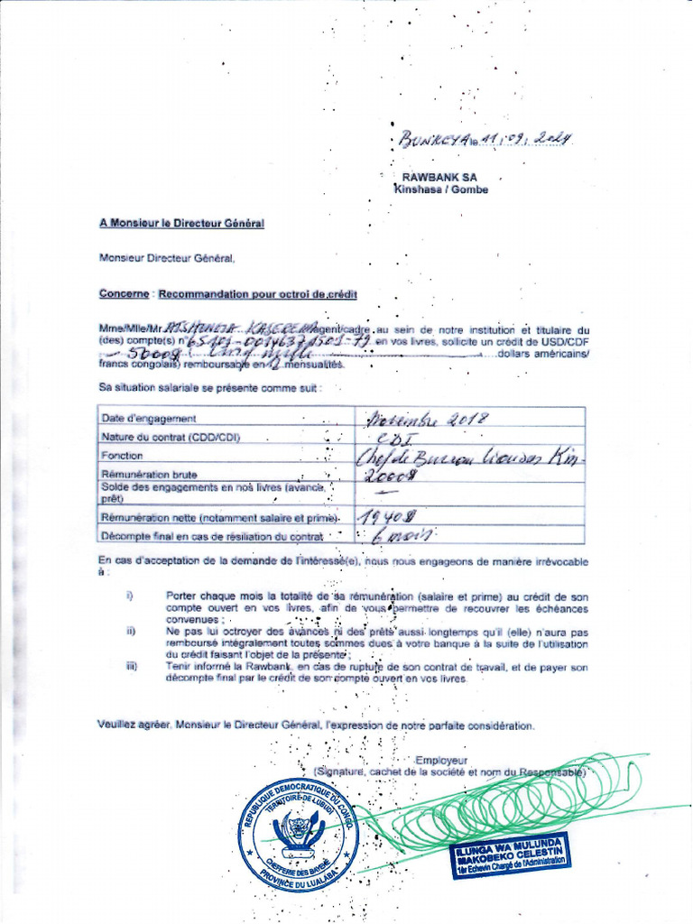Recommandation Pour Octroi de Credit | PDF