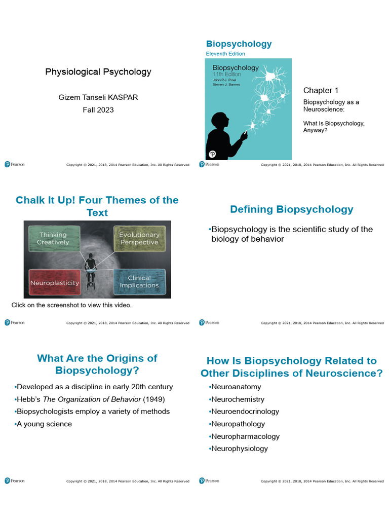 Physiological Slides | PDF