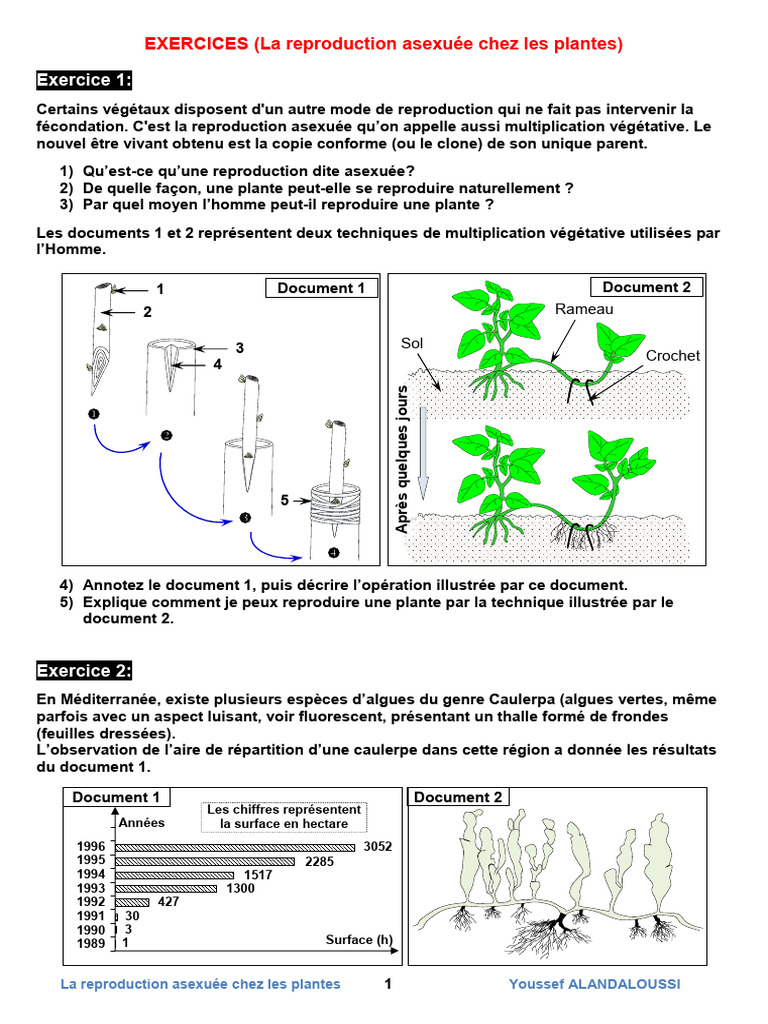 Diagramme De Reproduction Des Plantes Reproduction Végétative