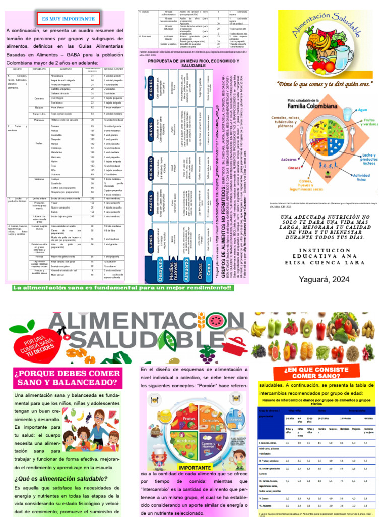 Folleto Comida Saludable 2024 | PDF