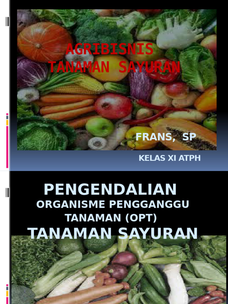 Pengendalian OPT | PDF