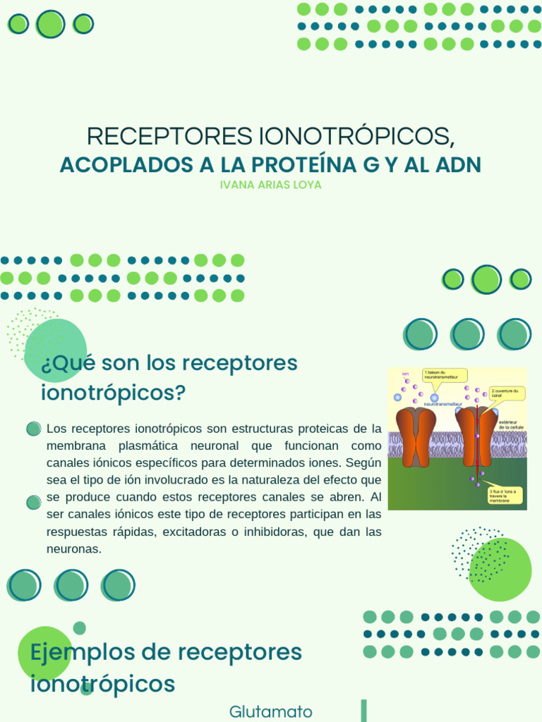 Receptores Inotrópicos | PDF