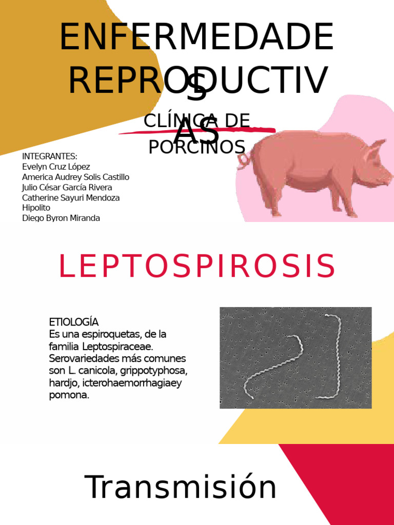 Enfermedades Reproductivas | PDF