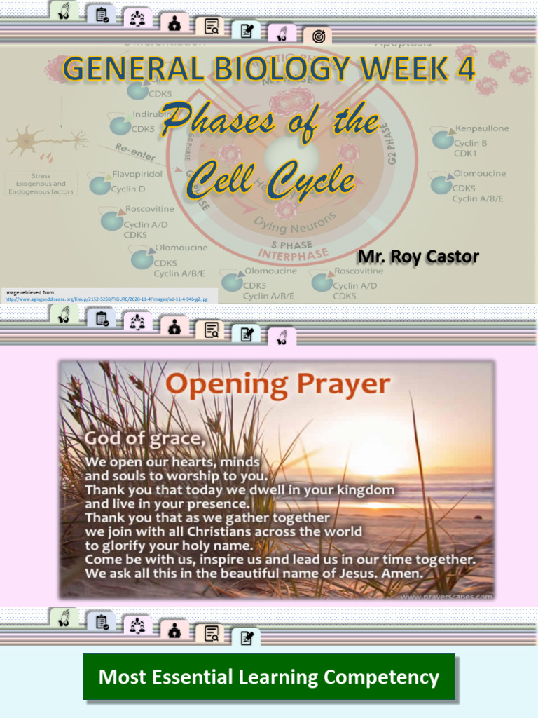 l4 - The Cell Cycle | PDF