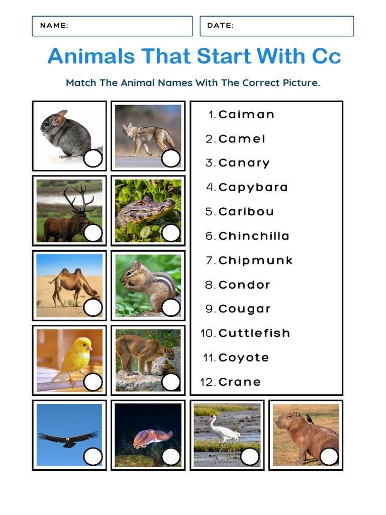 Animals That Start With C Worksheet (2) | PDF