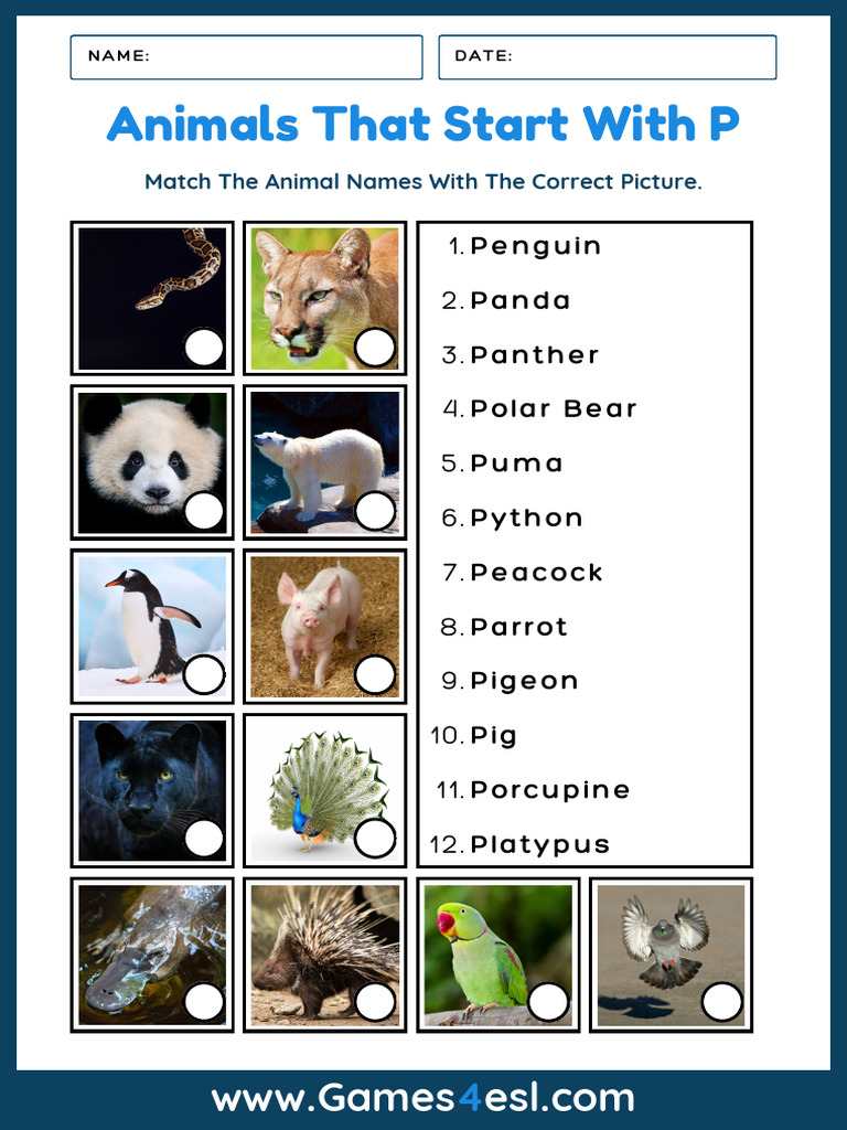 Animals That Start With P Worksheet | PDF