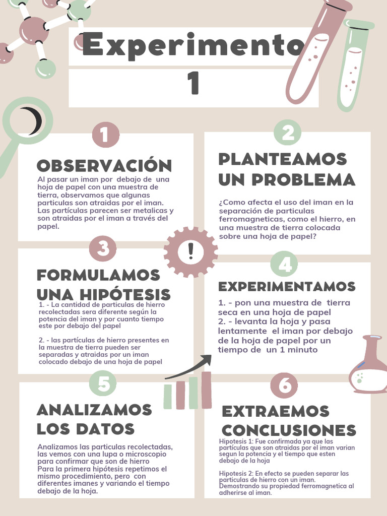 Póster Método Científico Pasos Infografia Escolar Pastel | PDF