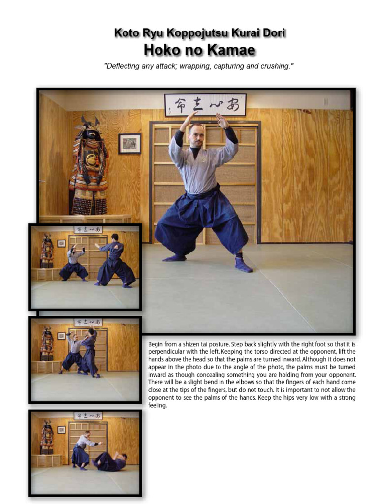 Jinenkan Koto Ryu Hoko No Kamae | PDF