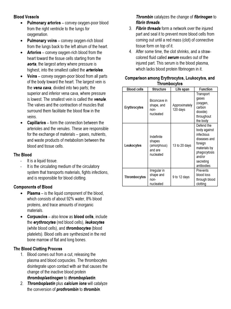 g9 - Circulatory System Notes 2.0 | PDF