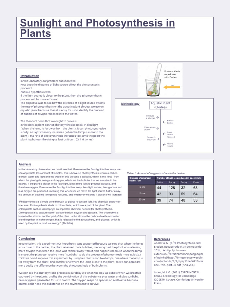 SUNLIGHT AND PHOTOSYNTHESIS IN PLANTS | PDF