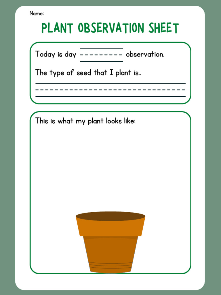 Green White Colorful Plant Observation Science Education Worksheet | PDF