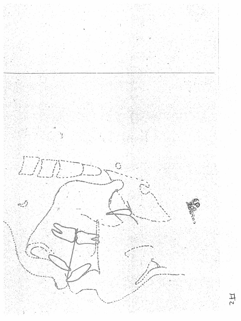 Vademecum Pdf