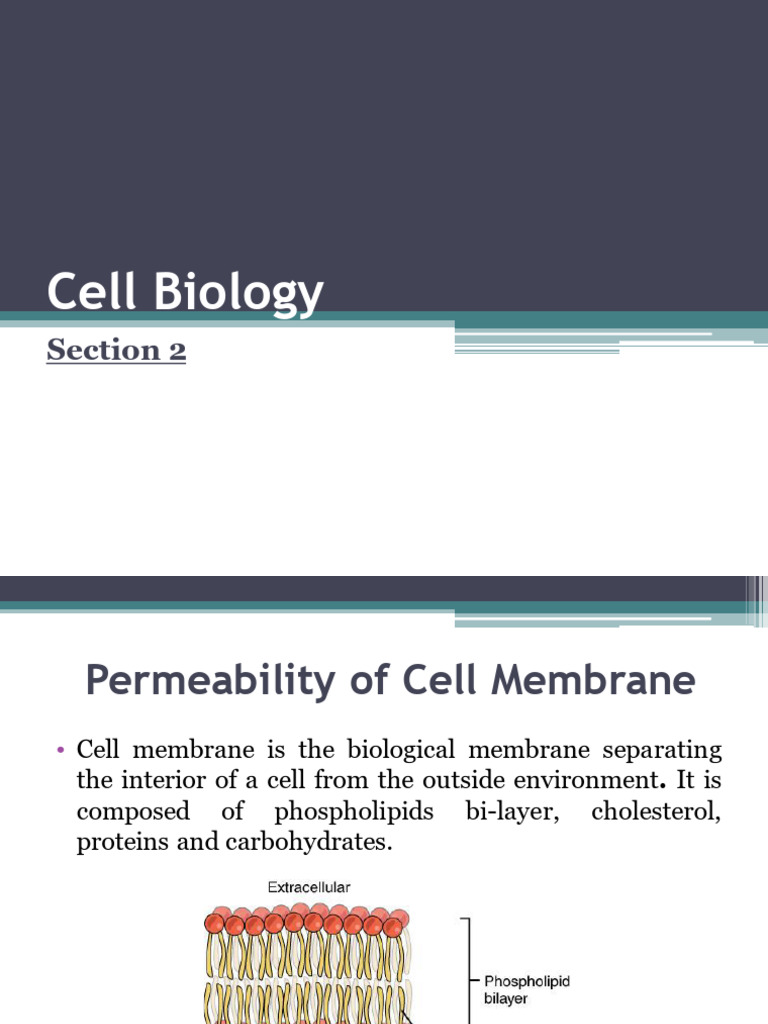 Cell Bio 2 | PDF