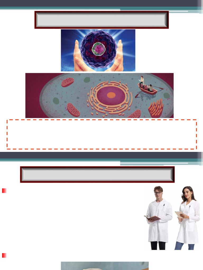 Cell Biology Section 1 | PDF